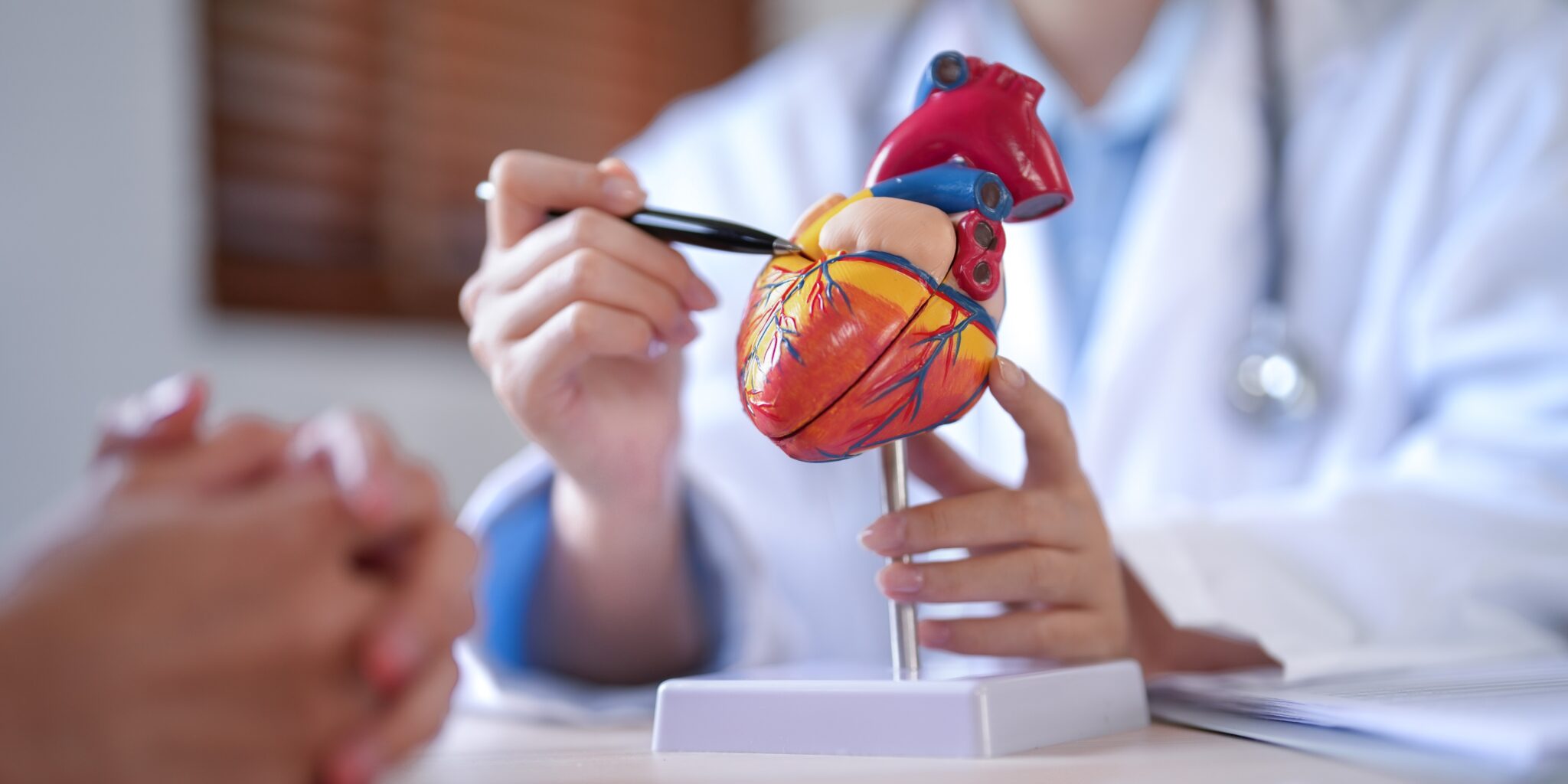 AnaCardio Reports Strong Phase 2a Topline Results for AC01 in patients ...
